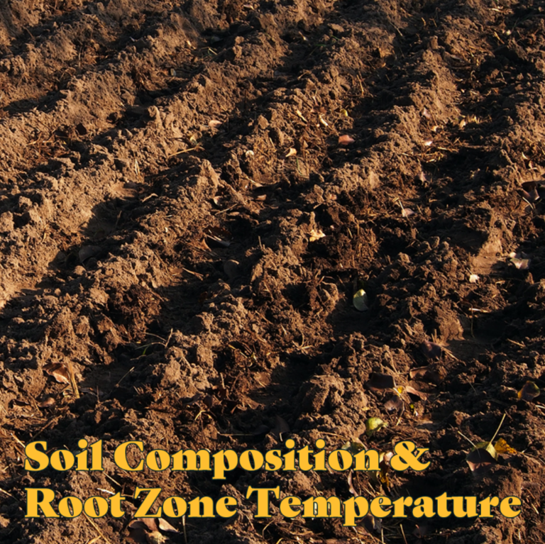 Grow Tips: Get to Know your Soil & Root Zone Temperature – Maricann